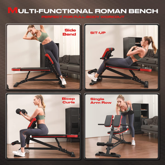 Multi-Function Roman Chair | Flybird Fitness
