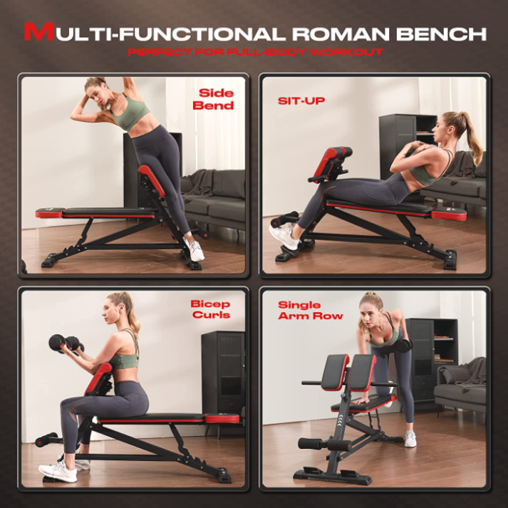 Multi-Function Roman Chair | Flybird Fitness
