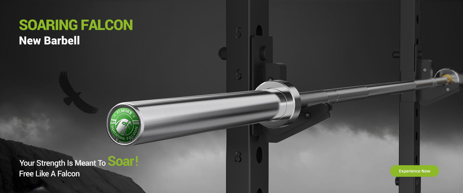 Flybird Adjustable Weight Benches, Dumbbells, Punching Bag, Ab Machine ...