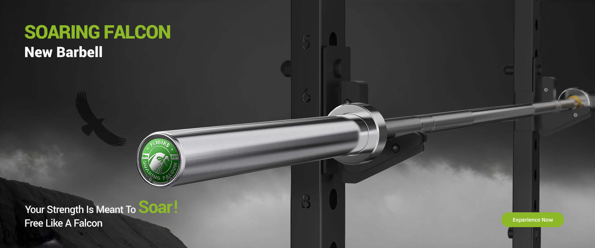 Flybird Adjustable Weight Benches, Dumbbells, Punching Bag, Ab Machine ...