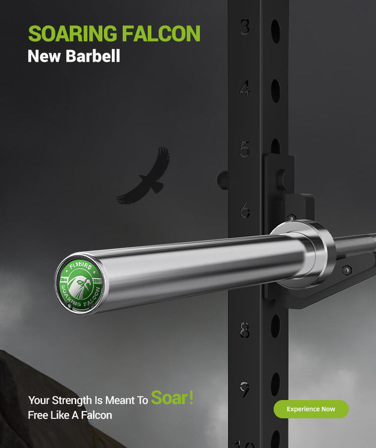 Flybird Adjustable Weight Benches, Dumbbells, Punching Bag, Ab Machine ...