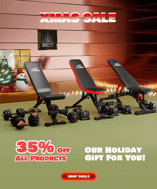 Flybird Adjustable Weight Benches, Dumbbells, Punching Bag, Ab Machine ...