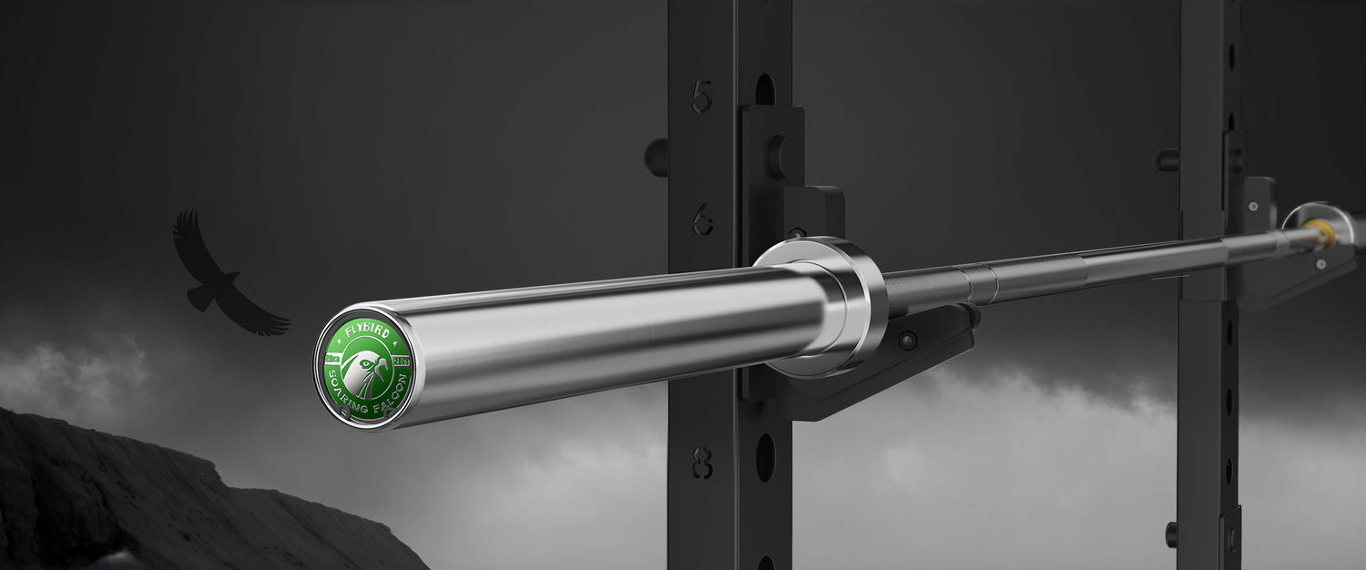 Flybird Adjustable Weight Benches, Dumbbells, Punching Bag, Ab Machine ...