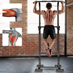 Flybird Multi-function Power Tower S02 – Flybird Fitness