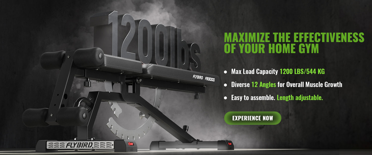 Flybird Adjustable Weight Benches, Dumbbells, Punching Bag, Ab Machine ...
